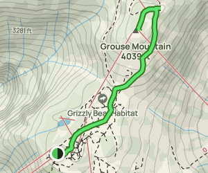 Grouse Mountain Summit and Wilderness Lookout: 45 Reviews, Map ...