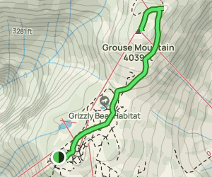 Grouse Mountain Summit and Wilderness Lookout: 62 Reviews, Map ...