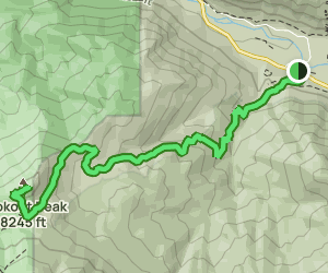 Lookout Peak via Don Cecil Trail [CLOSED]: 44 Reviews, Map - California ...