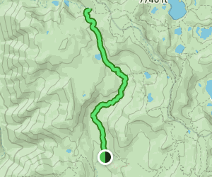 Gold Valley OHV Trail: 4 Reviews, Map - California | AllTrails