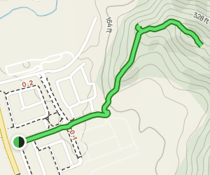 Mount Peter Forest Trail: 4 Reviews, Map - Queensland, Australia ...