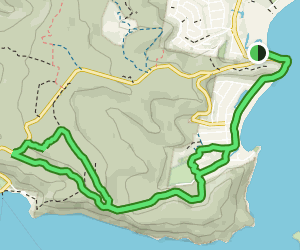 Umina Beach to Elephant Rock via Warrah Lookout, 332 Fotos - New South ...