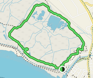 Rainham Marshes Circular: 3 Reviews, Map - Essex, England | AllTrails