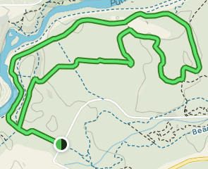 River Trail - Rib Cage - Raleigh Alley, British Columbia, Canada - Map ...