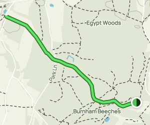 Burnham Beeches and Dorney Woods, 48 Fotos - Berkshire, England | AllTrails