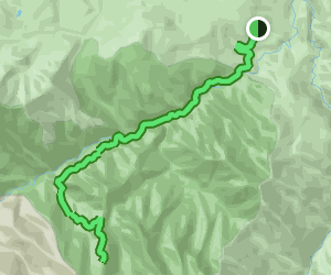 Baldy Trail (historical) Via Gray Wolf Trail: 4 Reviews, Map ...