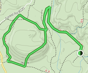 Big Tree Loop: 32 Reviews, Map - Washington | AllTrails