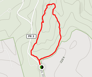 Caddo Lake State Park Pine Ridge Loop | Map, Guide - Texas | AllTrails