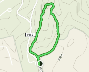 Caddo Lake State Park Pine Ridge Loop, Texas - 36 Reviews, Map | AllTrails