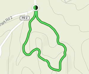 Caddo Lake State Park Forest Loop: 61 Reviews, Map - Texas | AllTrails