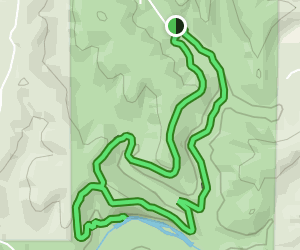 Cave Spring Loop Trail: 273 Reviews, Map - Missouri | AllTrails