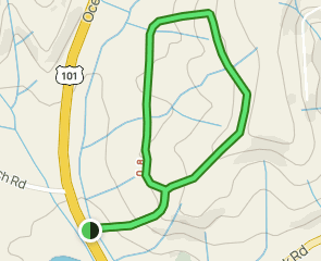 Butte Creek Sitka Spruce Grove Trail, Washington - 28 Reviews, Map ...