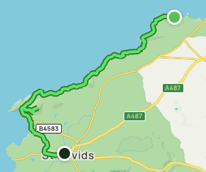 Northern Way of St David: Day 3 Porthgain to St Davids: 3 Reviews, Map ...