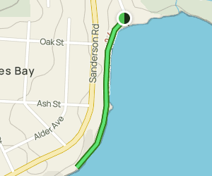 Sanderson Trail: 3 Reviews, Map - British Columbia, Canada | AllTrails