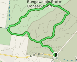 Ironbark and Spotted Gum Trail: 4 Reviews, Map - New South Wales ...