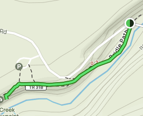 Curly Creek Falls Via Lewis River Trail, Washington - 99 Reviews, Map ...