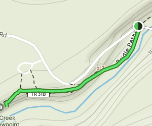 Curly Creek Falls Via Lewis River Trail: 43 foto - Washington | AllTrails