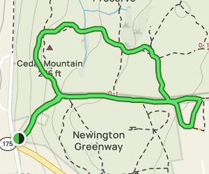 Cedar Mountain Loop: 418 Reviews, Map - Connecticut | AllTrails