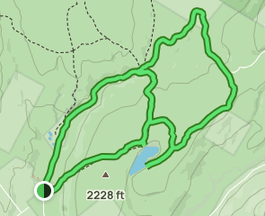 Long Pond via Beaverkill Ridge Trail, New York - 75 Reviews, Map ...
