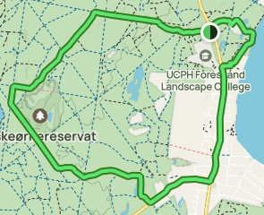 Fiskeørnereservat - Gribskov - Nødebo, Capital Region of Denmark ...