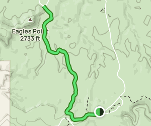 Eagle Point Trail: 311 Reviews, Map - Texas | AllTrails
