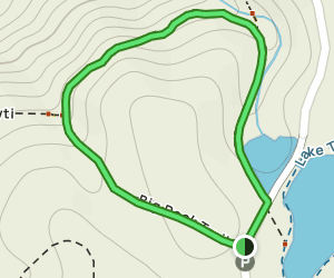 Big Rock Nature Trail : 284 Reviews, Map - Georgia | AllTrails