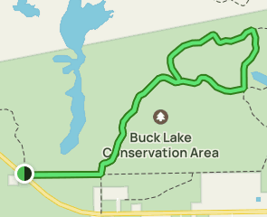 Buck Lake Red Trail from West Trailhead, Florida - 19 Reviews, Map ...