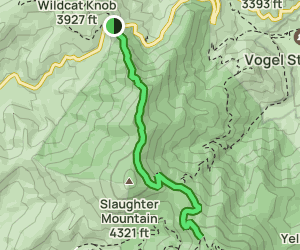 Duncan Ridge Trail: 75 Reviews, Map - Georgia | AllTrails