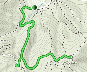 Fern Canyon Trail: 609 Reviews, Map - California | AllTrails