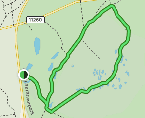 Viru raba õpperada, Harju, Estonia - 87 Reviews, Map | AllTrails