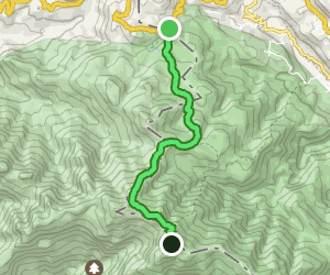 Mount Fansipan Trail: 113 Reviews, Map - Lao Cai, Vietnam | AllTrails