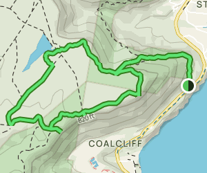 Forest Path via Wodi Wodi Track | Mapa, Roteiro - New South Wales ...