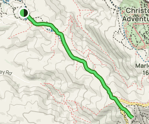 Kennedy's Bush Track to Mount Ada: 234 Reviews, Map - Canterbury, New ...