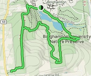 Binghamton University Nature Preserve Loop: 499 Reviews, Map - New York ...