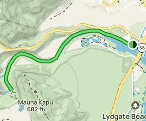 Wailua River Kayak to Fern Grotto: 68 Reviews, Map - Kaua'i, Hawaii ...