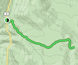 Ute Pass Trail: 68 Reviews, Map - Colorado | AllTrails
