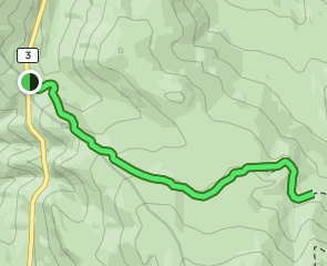 Ute Pass Trail, Colorado - 88 Reviews, Map | AllTrails