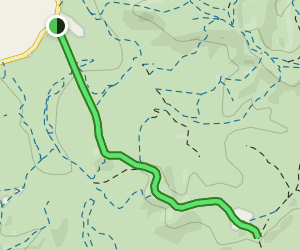 Forest Strip Road Track: 34 Reviews, Map - Auckland, New Zealand ...