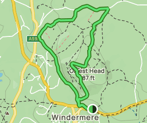 Orrest Head Circular: 1221 Reviews, Map - Cumbria, England | AllTrails