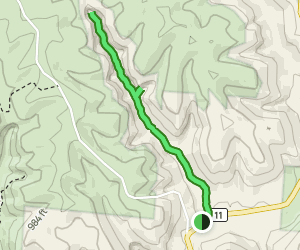 Sheick Hollow: 64 Reviews, 66 Photos, Map - Ohio | AllTrails