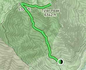Tyler Peak, Washington - 87 Reviews, Map | AllTrails