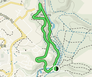 Plymbridge Circular: 83 Reviews, Map - Devon, England | AllTrails