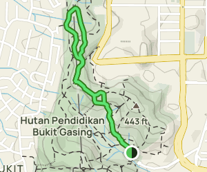 Bukit Gasing via Kerinchi Entrance: 256 Reviews, Map - Kuala Lumpur, Malaysia | AllTrails