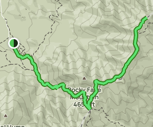 Mount Cammerer via Low Gap Trail: 1694 Reviews, Map - Tennessee | AllTrails