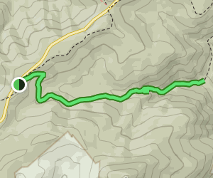 Jones Run Falls Trail: 674 Reviews, Map - Virginia | AllTrails