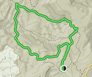 Mathews Arm Overall Run Trail: 192 Reviews, Map - Virginia | AllTrails