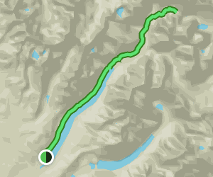 Bowman Lake Trail: 201 Reviews, Map - Montana | AllTrails