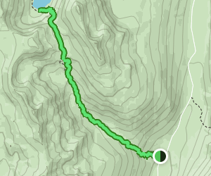 Box Lake Trail: 185 Reviews, Map - Idaho | AllTrails