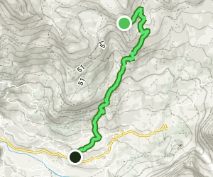 First - Grindelwald: 64 Reviews, Map - Bern, Switzerland | AllTrails