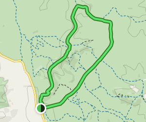 Campbell Road Loop: 12 Reviews, Map - Auckland, New Zealand | AllTrails